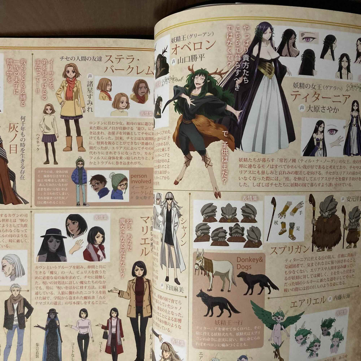 The Ancient Magus Bride Official Complete Book – Otaku.co.uk