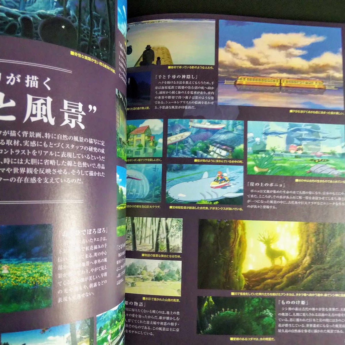 Studio Ghibli Complete Collections – Otaku.co.uk